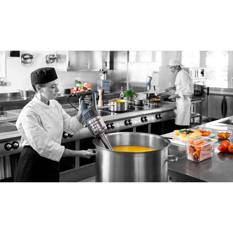 Robot Coupe MP 450 Ultra V.V. El Blender Fiyat